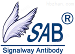 美国Signalway Antibody（SAB抗体）SAB总代理（上海萨博生物）现货SAB抗体 SAB公司-环保在线